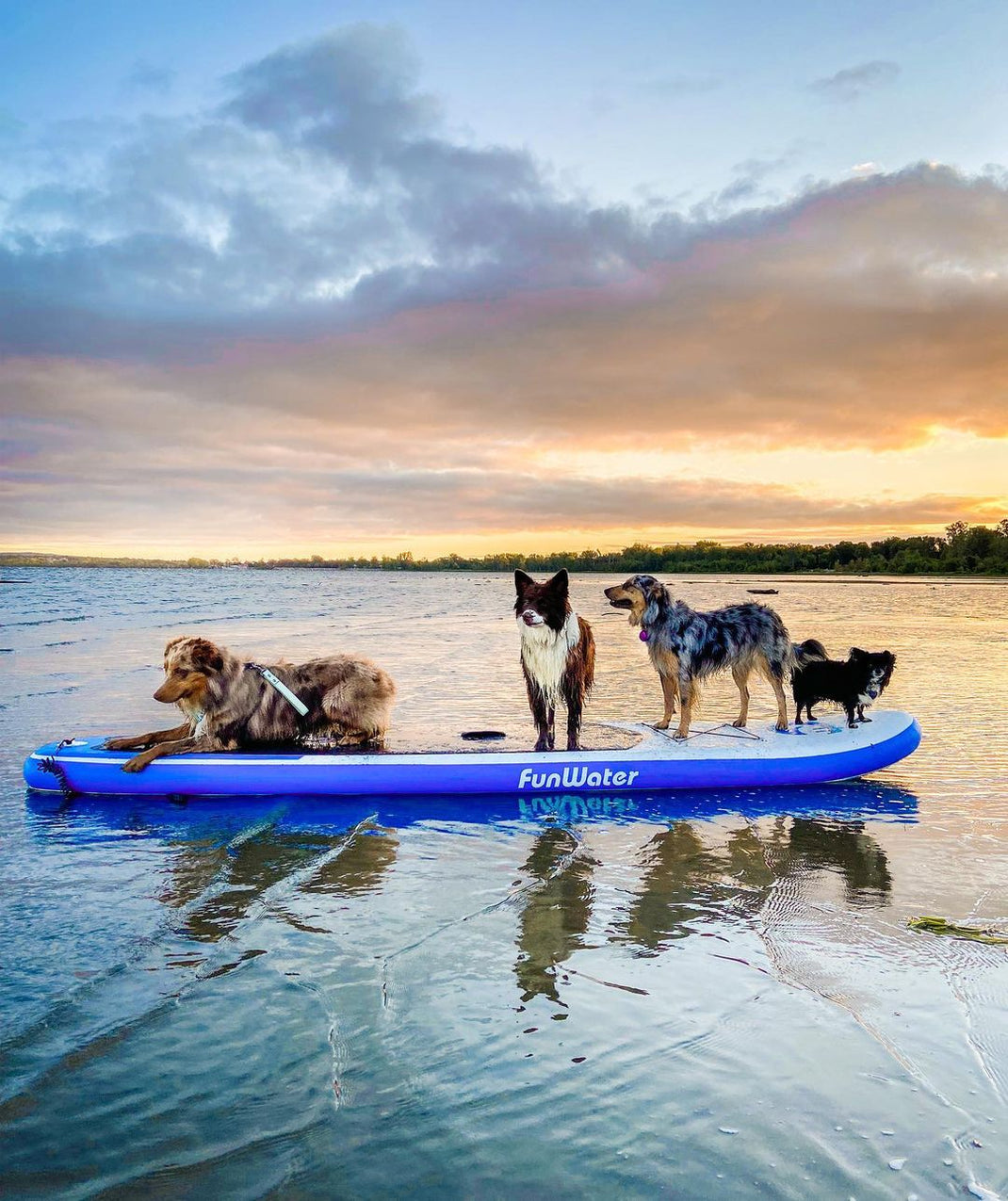 SUP outlet: kakovostne SUP deske po dostopni ceni - sup-outlet.si – Sup ...